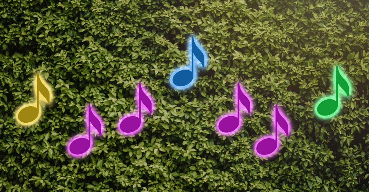 Emphasis in Melody - Organizing Sound